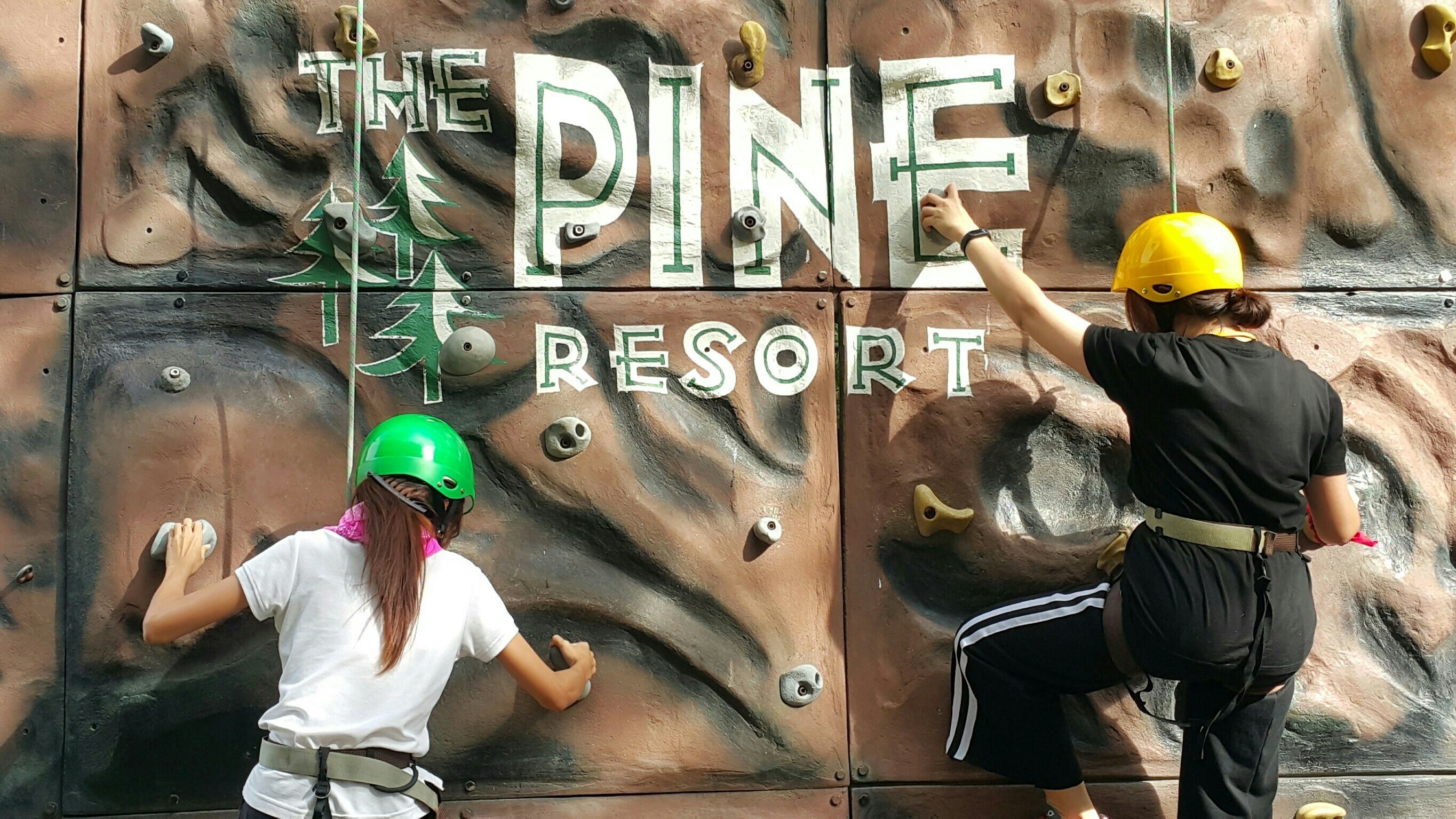 The Pine Resort | adventure